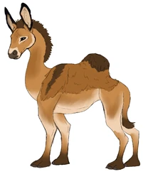 Allocamelus | Creatures of myth Wiki | Fandom