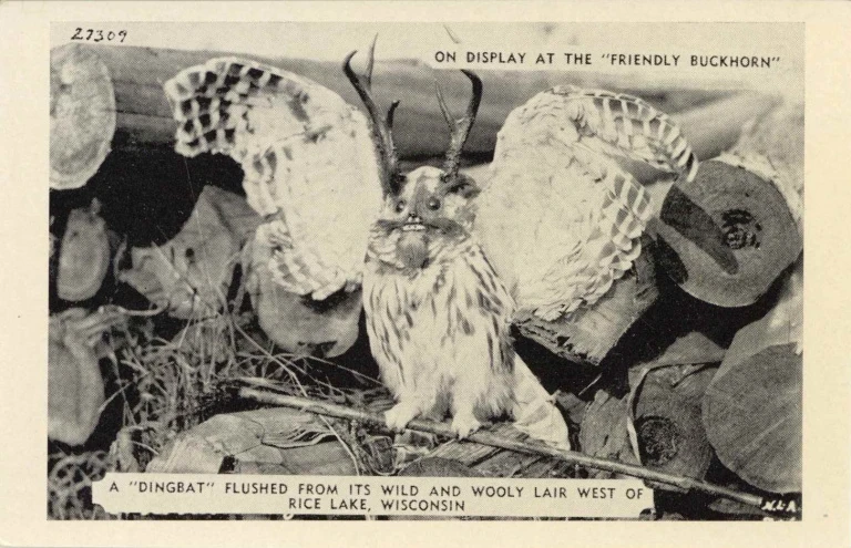 Dingbat | Creatures of myth Wiki | Fandom