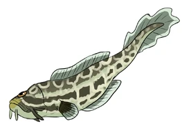 Baoyu | Creatures of myth Wiki | Fandom