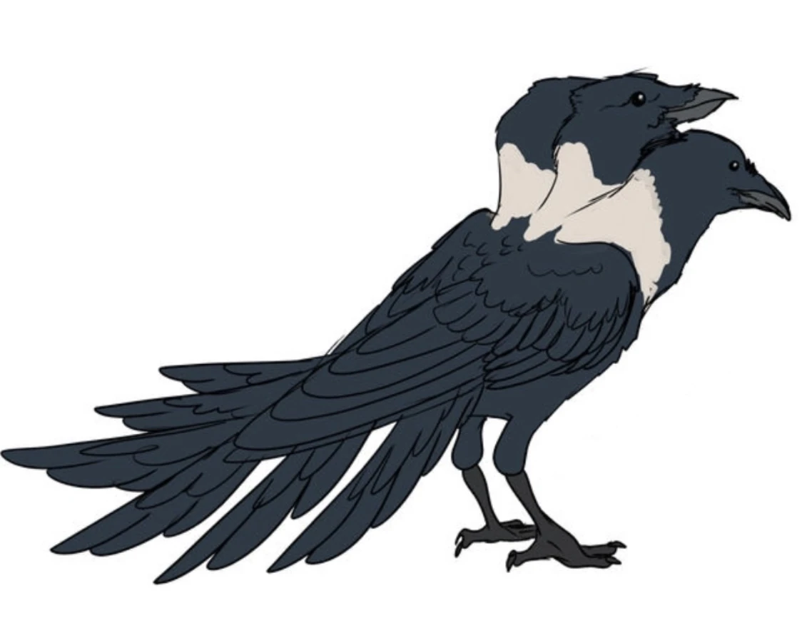 Qitu | Creatures of myth Wiki | Fandom