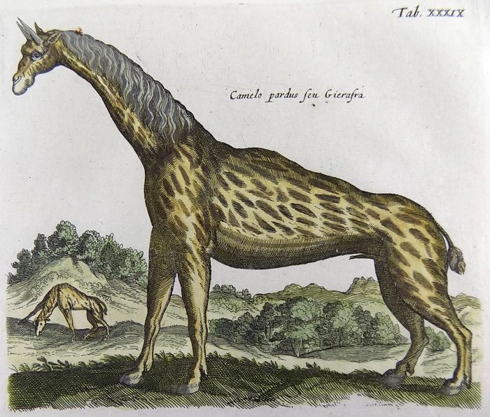 Guiamala | Creatures of myth Wiki | Fandom