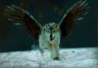 Pterolycus | Creatures of myth Wiki | Fandom