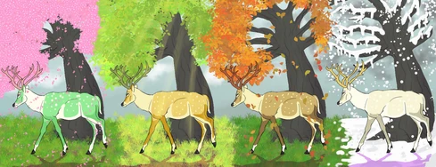 Bianselu | Creatures of myth Wiki | Fandom