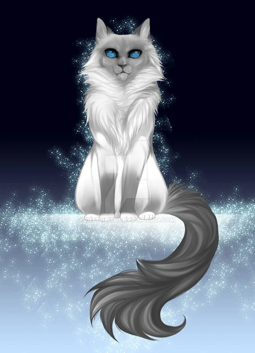 Heavencat | Creatures of myth Wiki | Fandom