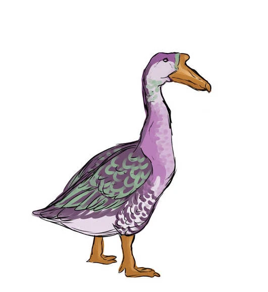 Zhenniao | Creatures of myth Wiki | Fandom