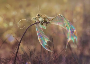 Pyrausta | Creatures of myth Wiki | Fandom