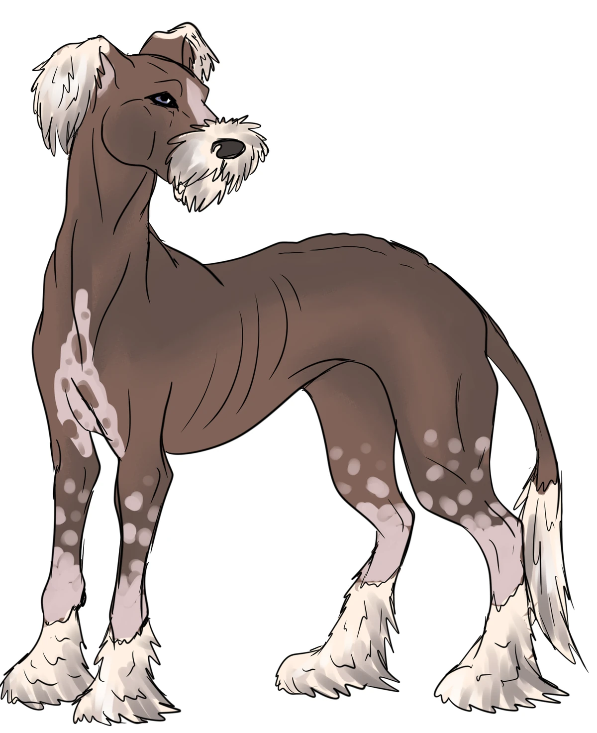 Qiqirn | Creatures of myth Wiki | Fandom