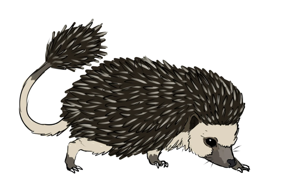 Zamba Zaara | Creatures of myth Wiki | Fandom