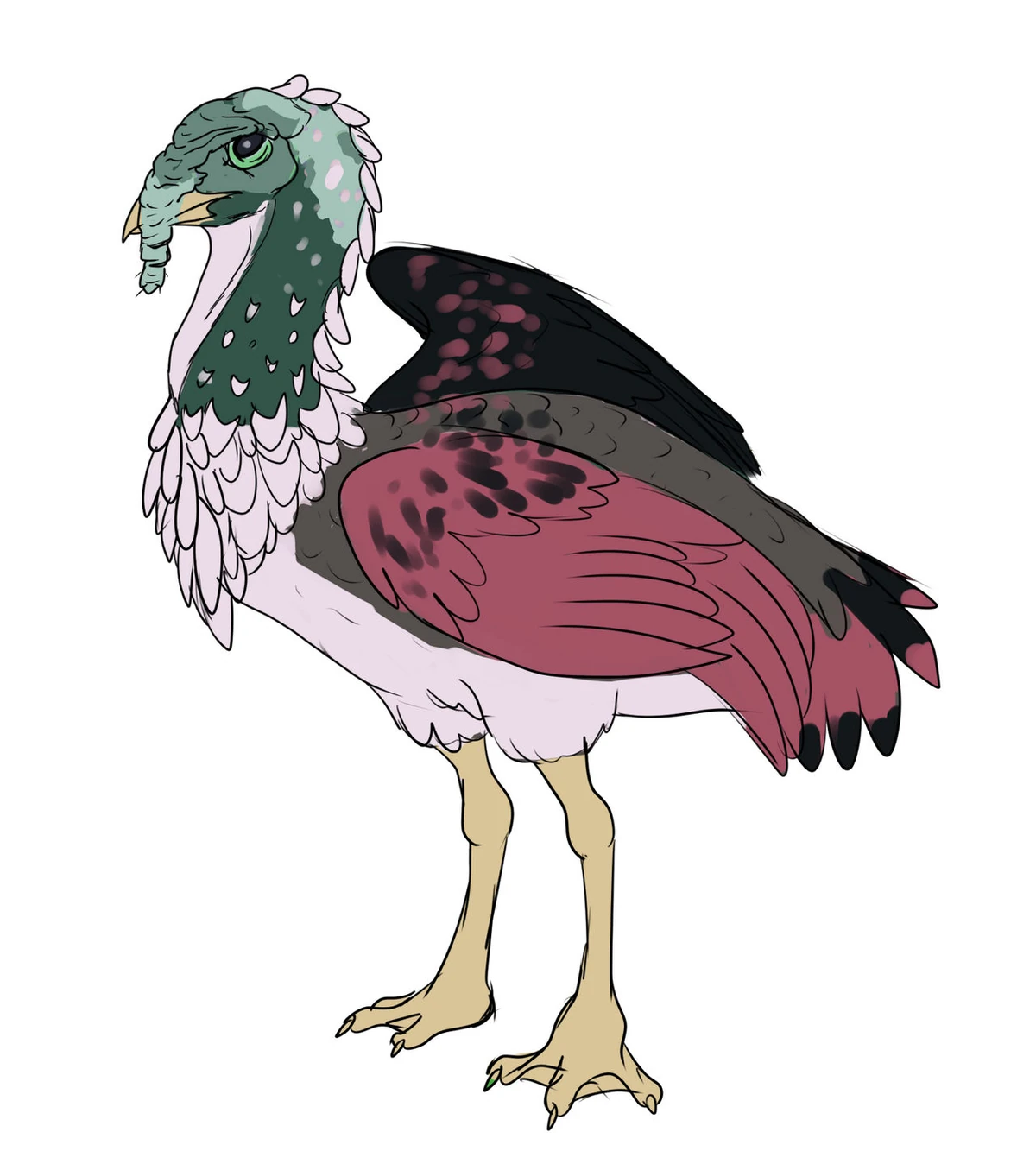 Filla-Ma-Loo Bird | Creatures of myth Wiki | Fandom