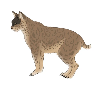 Splinter Cat | Creatures of myth Wiki | Fandom
