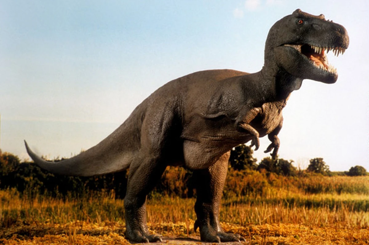 Tyrannosaurus | Creatures of Past, Present and Mythology Wiki | Fandom