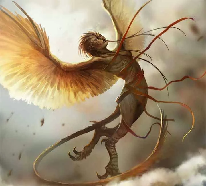 Harpy | Creatures of Past, Present and Mythology Wiki | Fandom