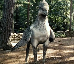 Hippogriff | Creatures of Past, Present and Mythology Wiki | Fandom