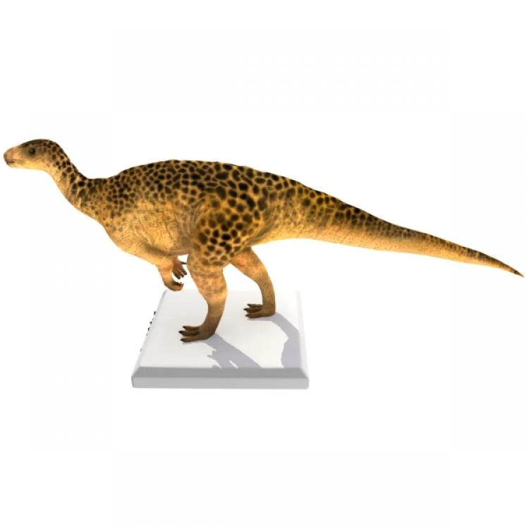 Acristavus | Creatures of Past, Present and Mythology Wiki | Fandom