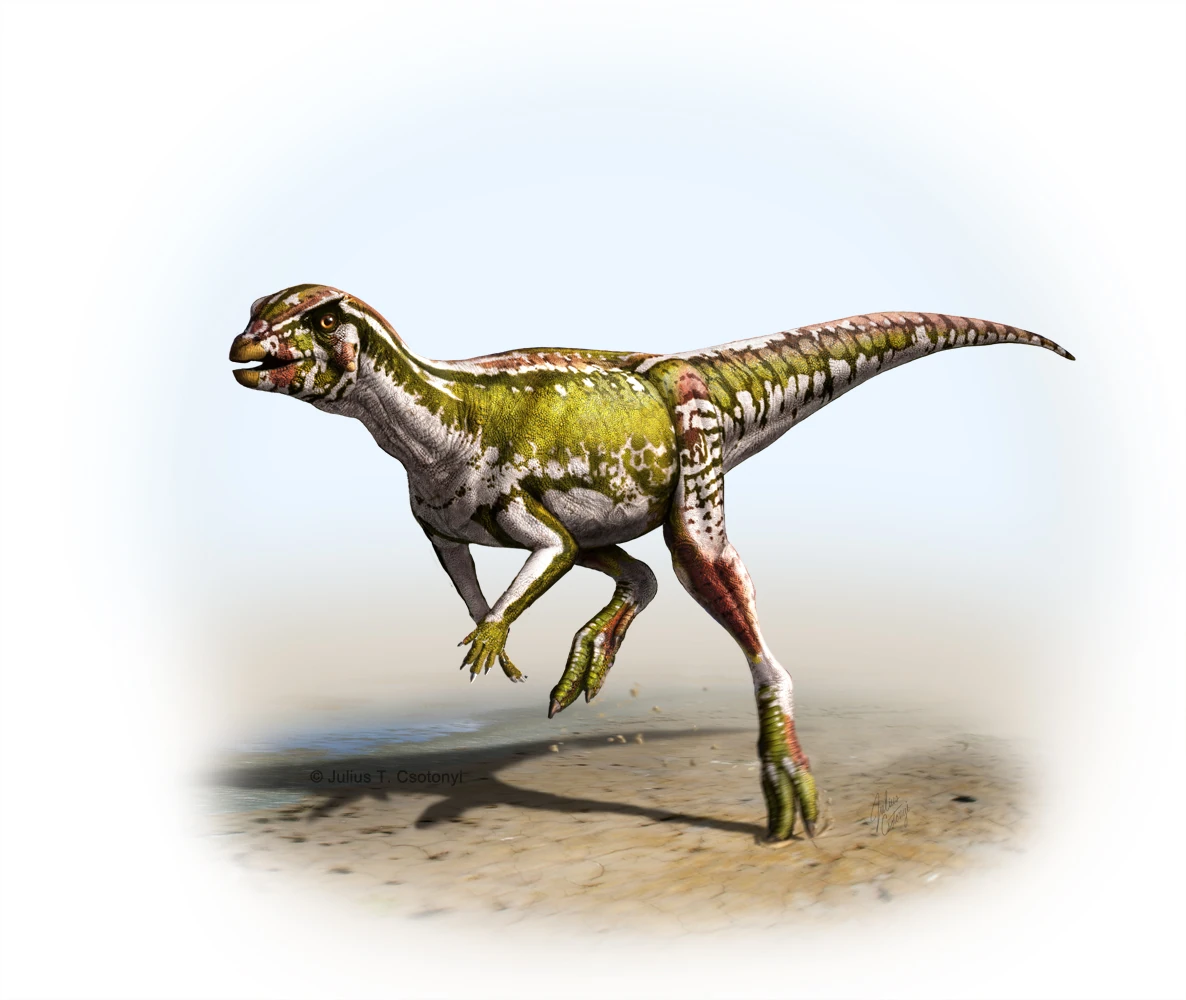 Albertadromeus | Creatures of Past, Present and Mythology Wiki | Fandom