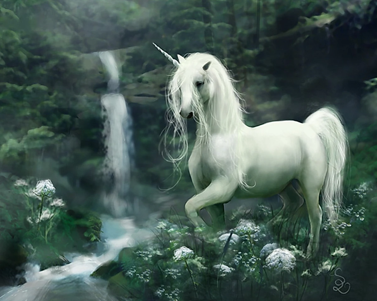 Unicorn | Creatures of Past, Present and Mythology Wiki | Fandom