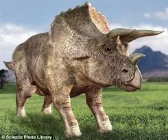 Triceratops | Creatures of Past, Present and Mythology Wiki | Fandom