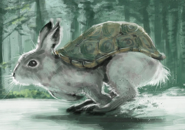 Rabbit-Turtle | Creatures of Past, Present and Mythology Wiki | Fandom