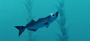 Bluefish | Creatures of the Deep Wiki | Fandom