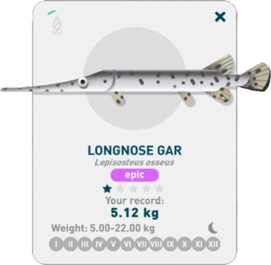 Longnose Gar | Creatures of the Deep Wiki | Fandom
