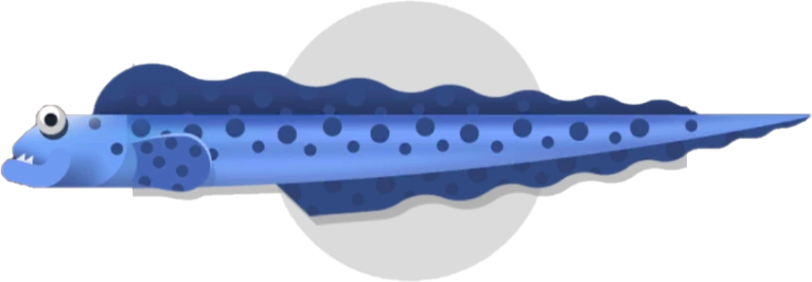 Wolf Eel | Creatures of the Deep Wiki | Fandom