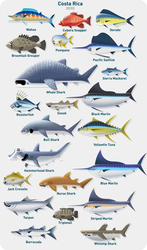 Bestiary | Creatures of the Deep Wiki | Fandom