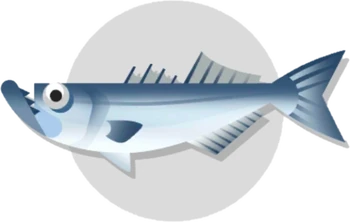 Bluefish | Creatures of the Deep Wiki | Fandom