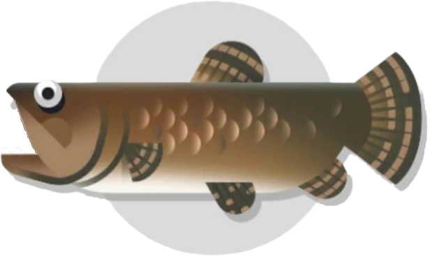 Giant Trahira | Creatures of the Deep Wiki | Fandom