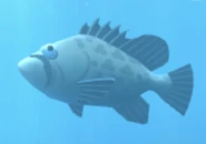 Broomtail Grouper | Creatures of the Deep Wiki | Fandom