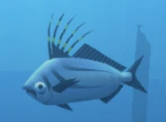 Roosterfish | Creatures of the Deep Wiki | Fandom