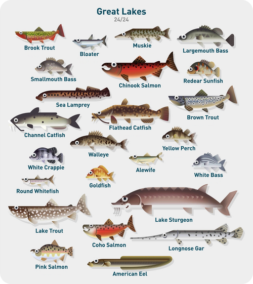 Bestiary | Creatures of the Deep Wiki | Fandom