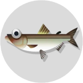 Vendace | Creatures of the Deep Wiki | Fandom
