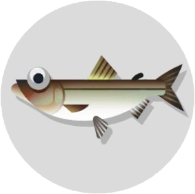 Vendace | Creatures of the Deep Wiki | Fandom