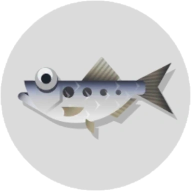 Twaite Shad | Creatures of the Deep Wiki | Fandom