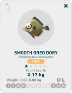 Smooth Oreo Dory | Creatures of the Deep Wiki | Fandom