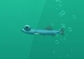 European Smelt | Creatures of the Deep Wiki | Fandom