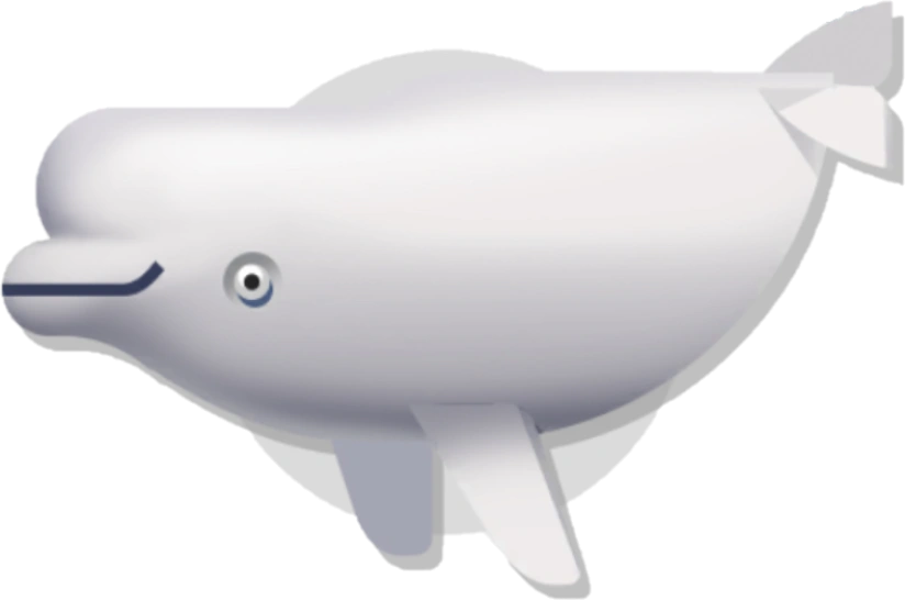 Beluga Whale | Creatures of the Deep Wiki | Fandom