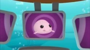 Blobfish | Creatures of the Deep Wiki | Fandom