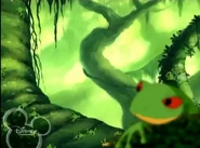 Red-Eyed Tree Frog | Creatures of the World Wikia | Fandom
