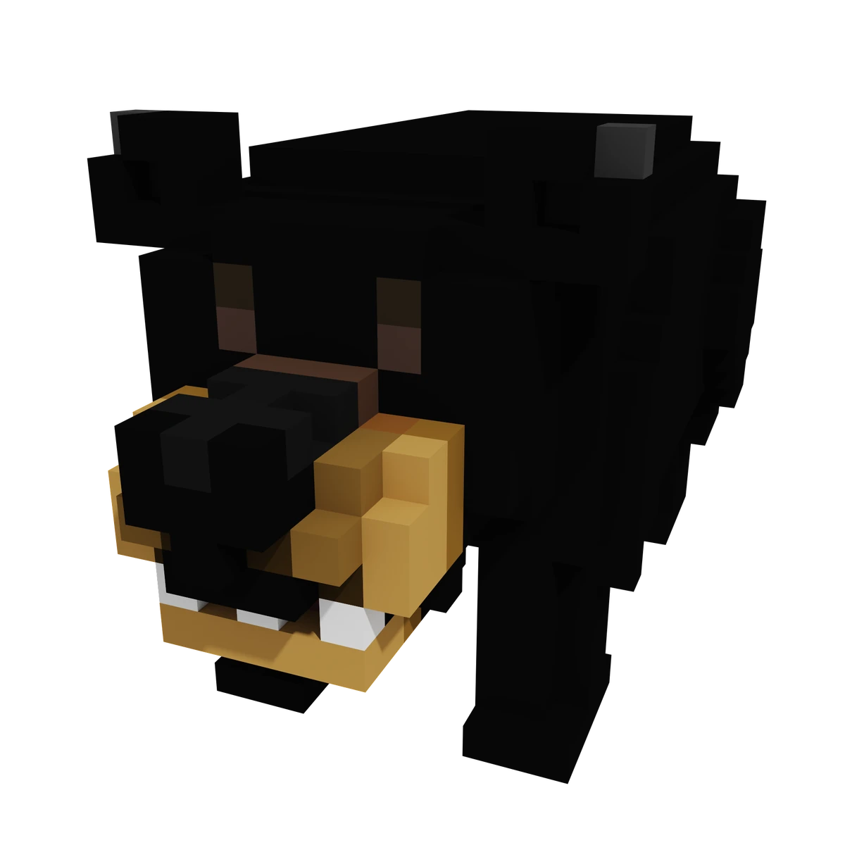 Black Bear | Creatures Tycoon Wiki | Fandom