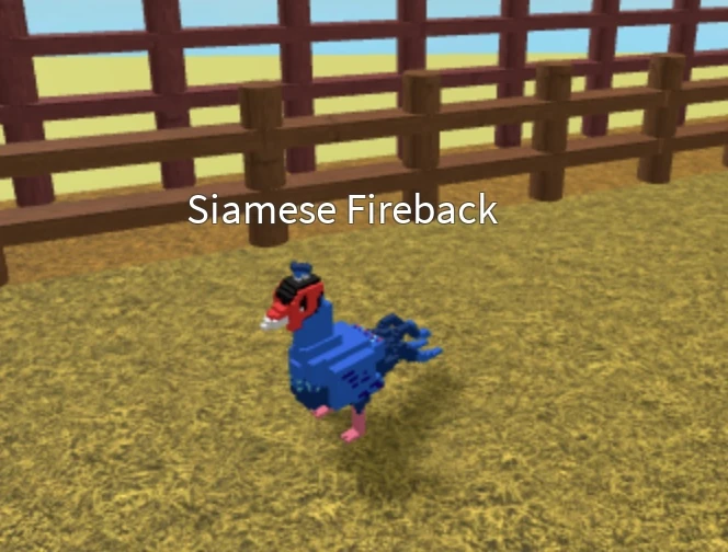 Siamese Fireback | Creatures Tycoon Wiki | Fandom