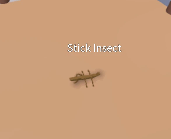 Stick Insect | Creatures Tycoon Wiki | Fandom