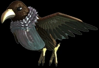 Gosh-hawk | Creatures Wiki | Fandom