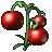 Tomato | Creatures Wiki | Fandom