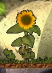Sunflower | Creatures Wiki | Fandom