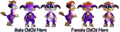 ChiChi Norn | Creatures Wiki | Fandom