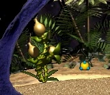 Pear Plant | Creatures Wiki | Fandom