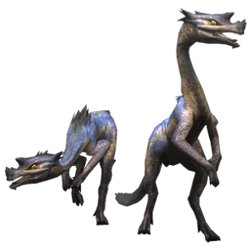 Korvis | Creatures and Worlds Wiki | Fandom