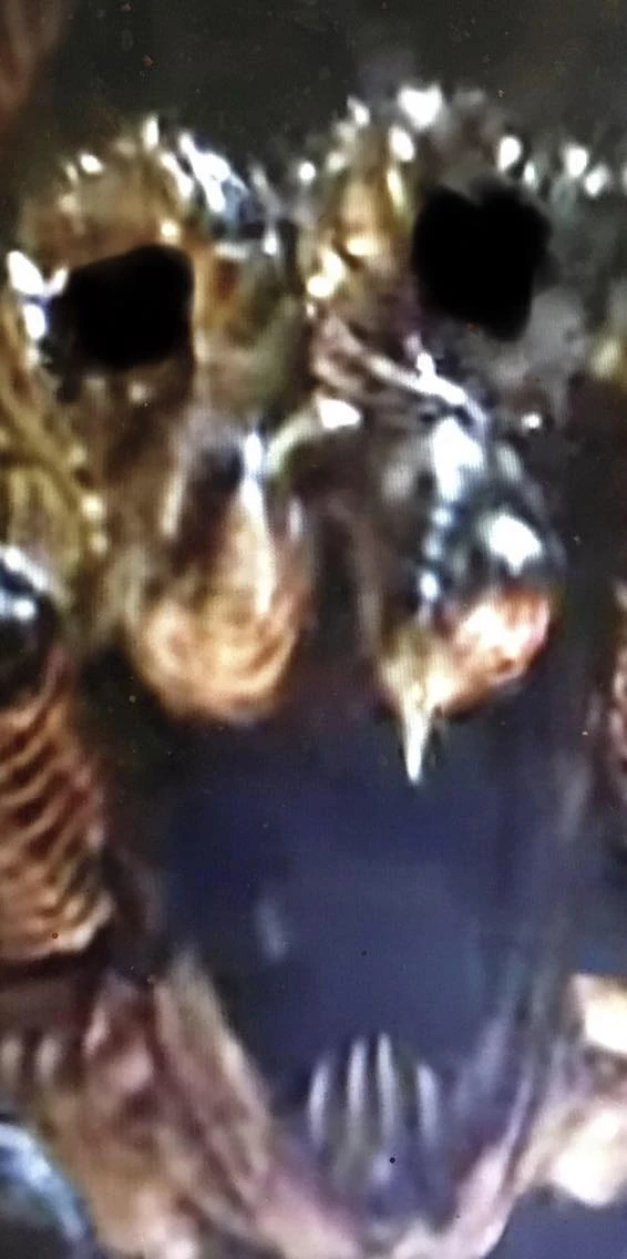 BUG-BOY | CREEPS CASTLE Wikia | Fandom