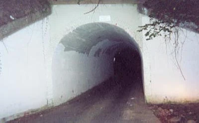 Bunny Man | Creepy stuff, Wik Wiki | Fandom